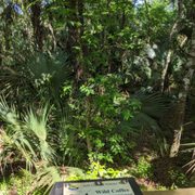 Turkey Creek Sanctuary - 134 Photos & 26 Reviews - Parks - 1518 Port ...