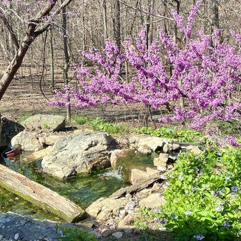 POWDER VALLEY CONSERVATION NATURE CENTER - Updated December 2025 - 252 ...