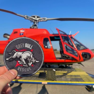 GREY BULL RESCUE FOUNDATION - Updated December 2025 - 24 Photos - 3030 ...