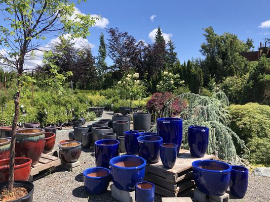 KENT’S GARDEN & NURSERY - 13 Photos & 13 Reviews - Nurseries ...