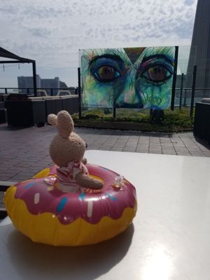 THE ROOF AT SOCO - 37 Photos & 17 Reviews - 75 Lower Simcoe Street ...