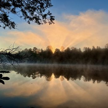 BELLEPLAIN STATE FOREST - Updated January 2026 - Henkin-sifkin Rd ...