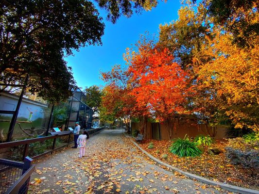 MICKE GROVE PARK - 95 Photos & 45 Reviews - Parks - 11793 N Micke Grove ...