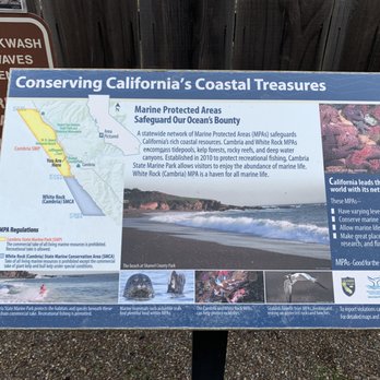 SHAMEL PARK - Updated January 2026 - 124 Photos & 32 Reviews - 5455 ...