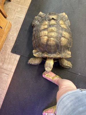 BIOMES - Updated August 2024 - 116 Photos & 77 Reviews - 6640 Post Rd ...