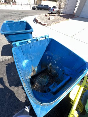 CLEAN N FRESH BINS - Updated December 2025 - 26 Photos & 37 Reviews ...