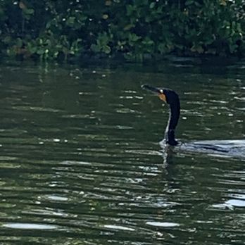 COCKROACH BAY NATURE PRESERVE - Updated December 2025 - 42 Photos ...