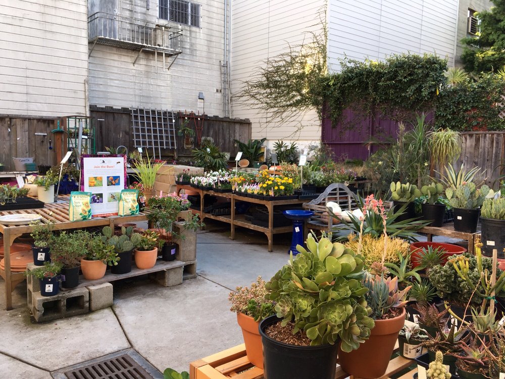 SLOAT GARDEN CENTER - 51 Photos & 70 Reviews - 3237 Pierce St, San ...