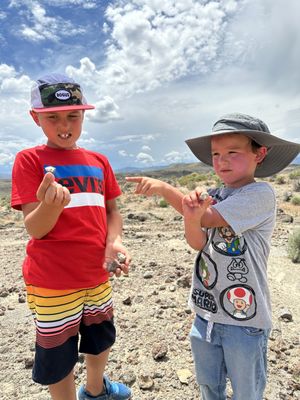 IDAHO ROCKS & GEMS - Updated October 2025 - 19 Photos - 608 N Orchard ...