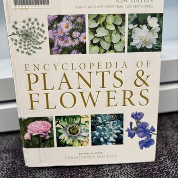 ATLANTA - FULTON PUBLIC LIBRARY - BUCKHEAD BRANCH - Updated December ...