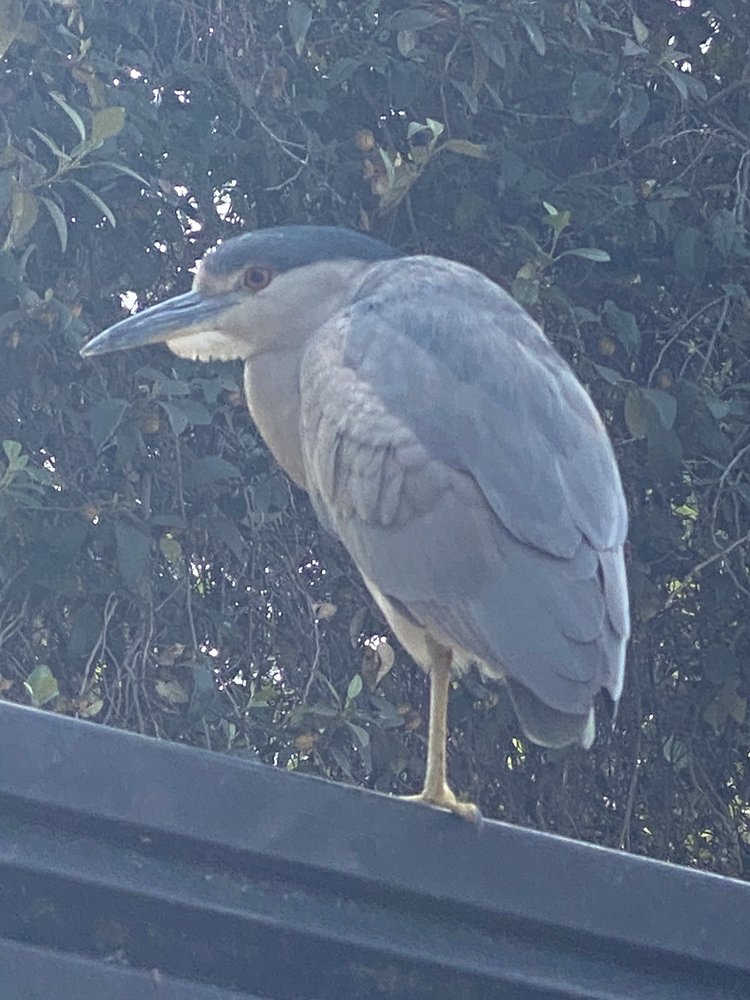 HOLLENBECK TERRACE - Updated August 2025 - 37 Photos - 610 South St ...