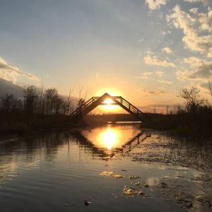 EARL E BORDEN PARK - 29 Photos - 1400 E Hamlin, Rochester Hills, MI - Yelp