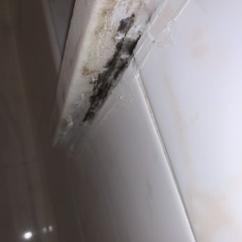 LOBOS MANAGEMENT - Updated March 2025 - 47 Photos & 207 Reviews - 233 ...