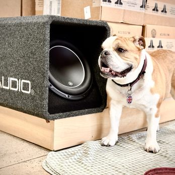 AUDIOLAB CAR STEREO - Updated June 2024 - 149 Photos & 553 Reviews ...