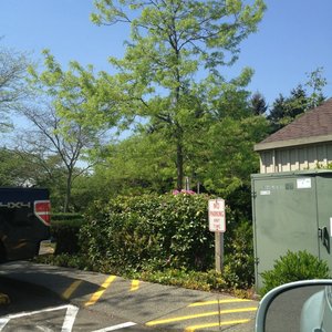 KENT SENIOR CENTER - Updated July 2025 - 10 Reviews - 600 E Smith St ...