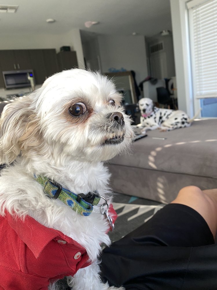 WATERMARK AT GATEWAY PLACE - Updated August 2025 - 22 Photos - 4500 E ...