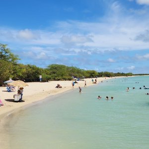 ANNIE’S PLACE - 258 Photos & 146 Reviews - Carretera 3301 KM 3.0 ...