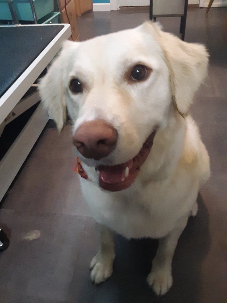 THE SHED SHACK - Updated April 2025 - 205 W Chicago St, Allen, Michigan ...