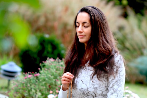 SATCHIDANANDA ASHRAM - YOGAVILLE - Updated October 2025 - 63 Photos ...