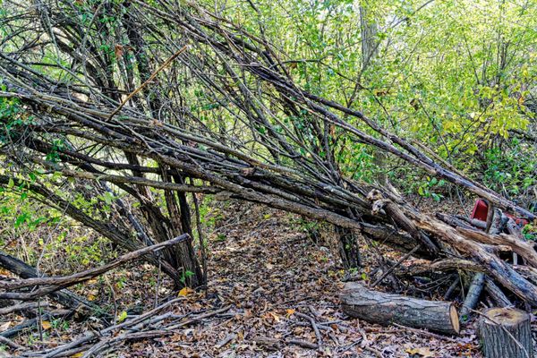 BEVIER PARK - Updated October 2025 - 60 Photos - 2255 Wt Yorkhouse Rd ...