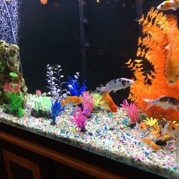 THE WOK - Updated July 2025 - 82 Photos & 116 Reviews - 912 Genesee St ...