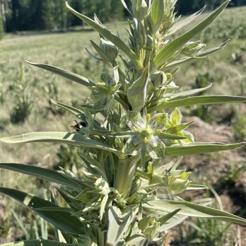 ASPEN NATURE LOOP - Updated December 2025 - 55 Photos & 18 Reviews ...