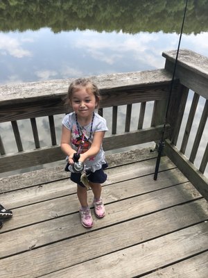 GILBERT RUN RECREATIONAL PARK - Updated January 2026 - 29 Photos ...