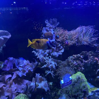 FLOATING SEA AQUATICS - Updated January 2025 - 238 Photos & 49 Reviews ...