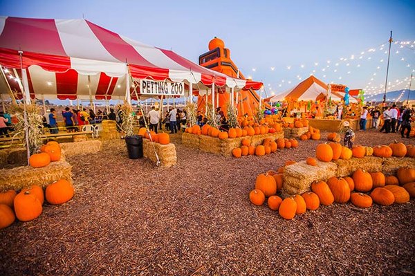 SEASONAL ADVENTURES PUMPKIN PATCH & TREES - 36 Photos & 18 Reviews ...