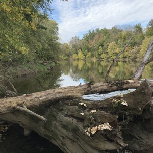 ADAMS RICCI PARK - Updated October 2025 - 26 Photos - 100 E Penn Dr ...