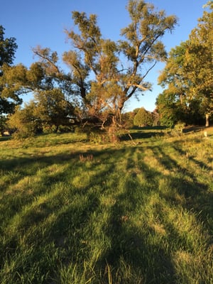 HARBOUR TREES GOLF CLUB - Updated December 2025 - 333 Regents Park Ln ...