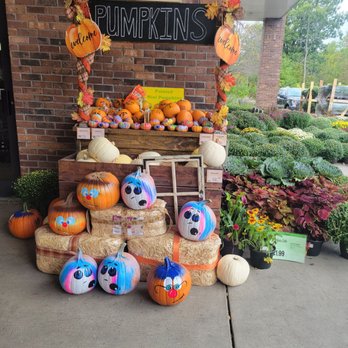 WEGMANS - Updated October 2025 - 92 Photos & 61 Reviews - 4960 Transit ...