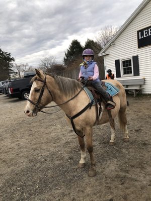 LEE’S RIDING STABLE - Updated October 2025 - 15 Photos & 20 Reviews ...