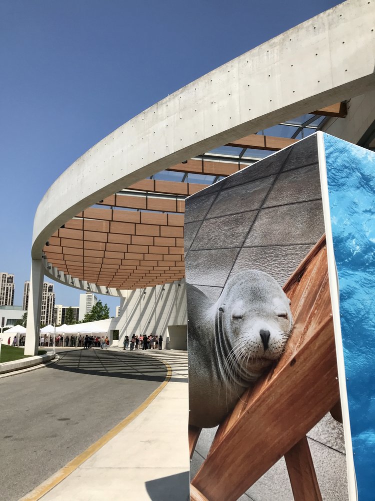 ISMAILI CENTRE - Updated July 2024 - 49 Wynford Drive, Toronto, Ontario ...