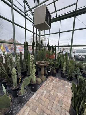 CACTUS & TROPICALS - Updated January 2026 - 24 Photos - 7696 S Main St ...