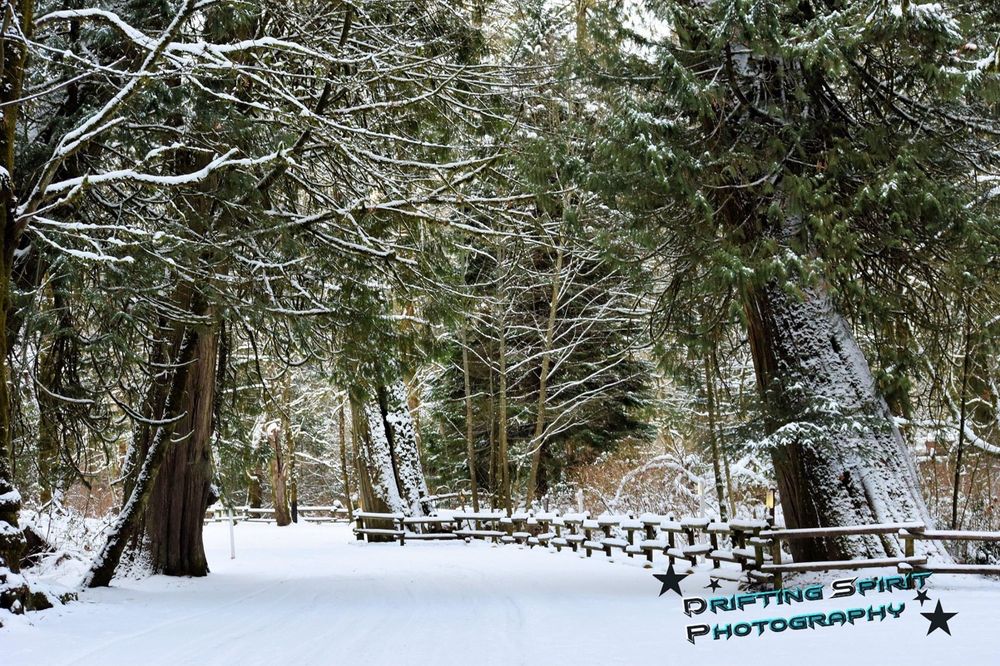 GOLDSTREAM PROVINCIAL PARK - Updated September 2024 - 56 Photos & 16 ...