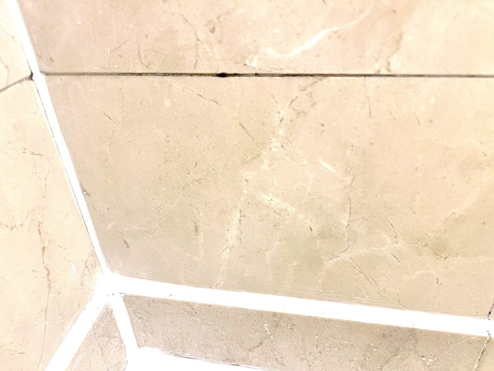 SHERATON CHARLOTTE AIRPORT HOTEL - 77 Photos & 79 Reviews - 3315 Scott ...