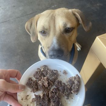 MAPLE LANDING - Updated November 2024 - 572 Photos & 556 Reviews - 5855 ...