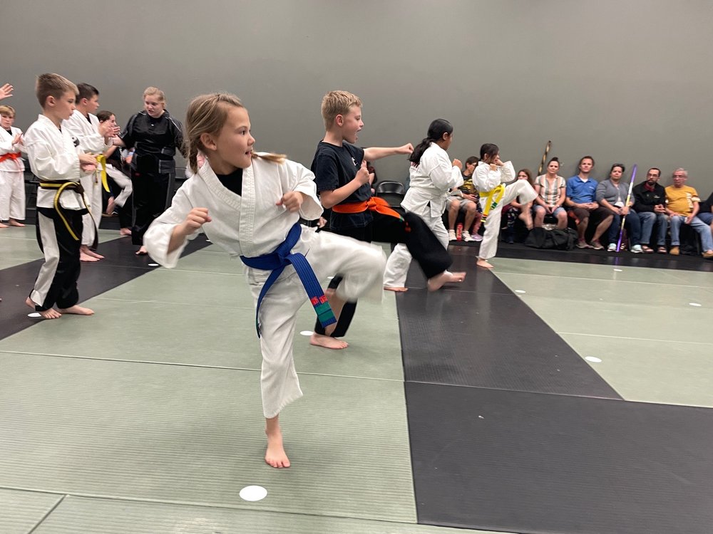 BOBBY LAWRENCE KARATE - Updated January 2026 - 476 E Riverside Dr, St ...