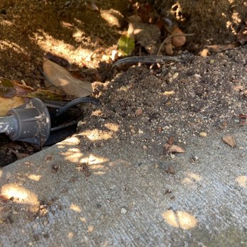 WESTERN EXTERMINATOR COMPANY - Updated September 2025 - 56 Photos & 134 ...