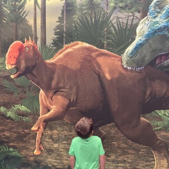 TEXAS SCIENCE & NATURAL HISTORY MUSEUM - Updated October 2025 - 174 ...