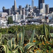 INA COOLBRITH PARK - 349 Photos & 88 Reviews - Taylor & Vallejo Streets ...