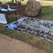 POINT PANIC BEACH PARK - 397 Photos & 24 Reviews - 102 Ohe St, Honolulu ...