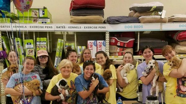 CASTAWAYS PET RESCUE - 11659 GA Hwy 99, Darien, Georgia - Animal ...