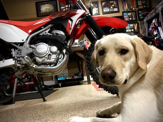 WILD WEST MOTOPLEX - Updated January 2026 - 25 Photos & 63 Reviews ...