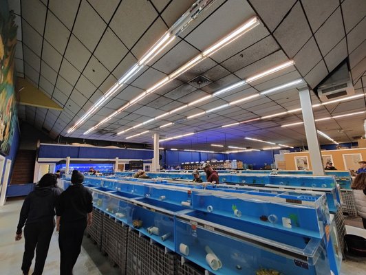 THAT FISH PLACE - THAT PET PLACE - Updated July 2025 - 149 Photos & 149 ...