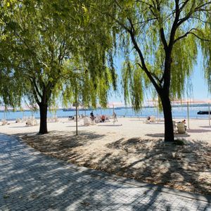 WOODBINE BEACH - Updated September 2025 - 358 Photos & 27 Reviews ...