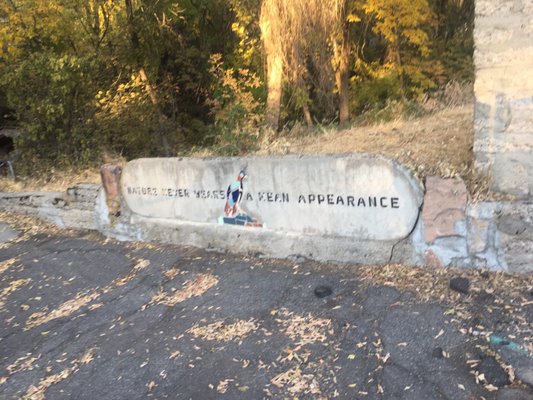 ALLEN PARK - Updated September 2024 - 35 Photos - Allen Park Dr & 1300 ...