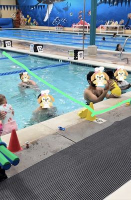 AMERICAN SWIM ACADEMY - Updated December 2025 - 51 Photos & 246 Reviews ...