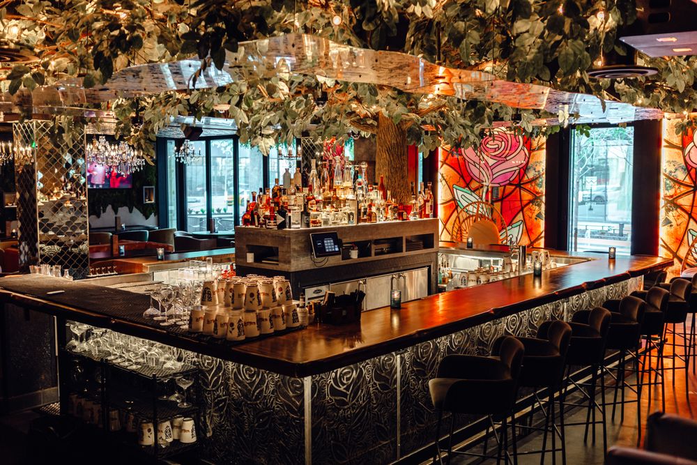 LA NETA COCINA Y LOUNGE - DALLAS - Updated March 2025 - 401 Photos ...